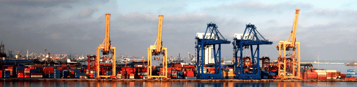 Container Weighing Systems from LCM Systems