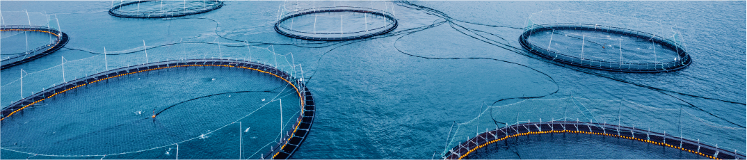 Precision Aquaculture: How Advanced Load Cells Enhance Fish Farm ...